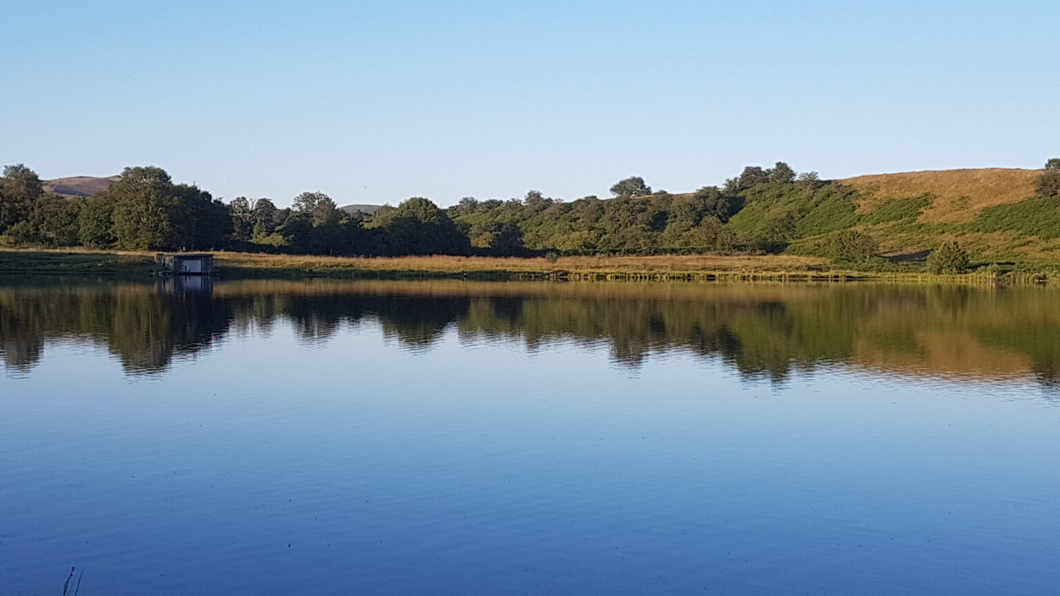 Institutionalising Parent-carer Blame – Luke Clements