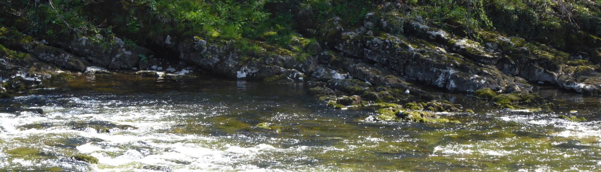 FII (Fabricated or Induced Illness) Survey – Luke Clements