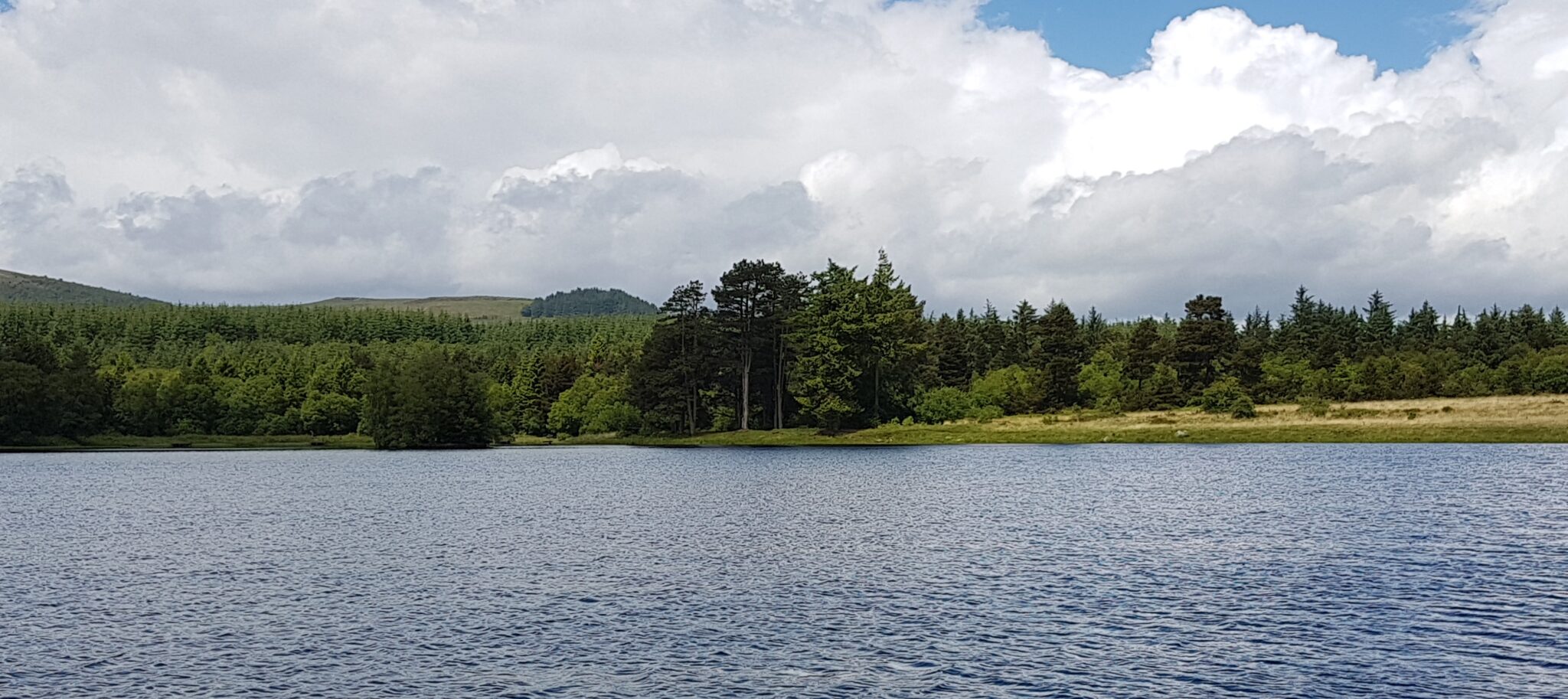 Parent Blame in the NHS – Luke Clements