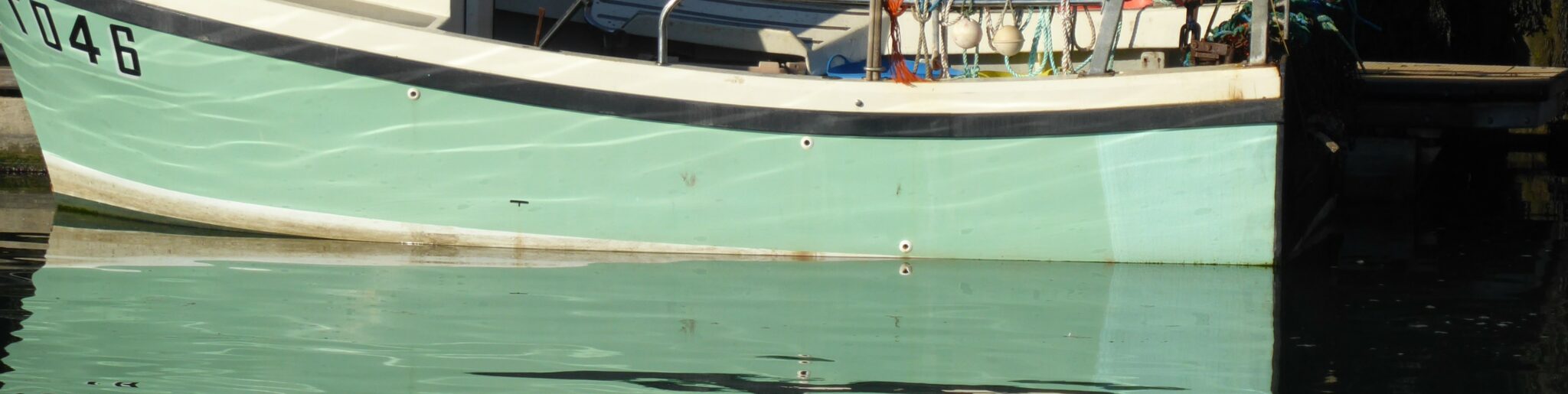 Double standards – Luke Clements