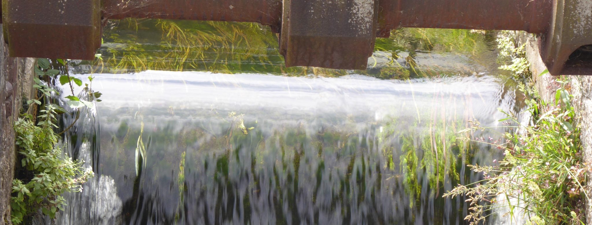 Jam tomorrow – maybe: the revised Working Together guidance. – Luke ...