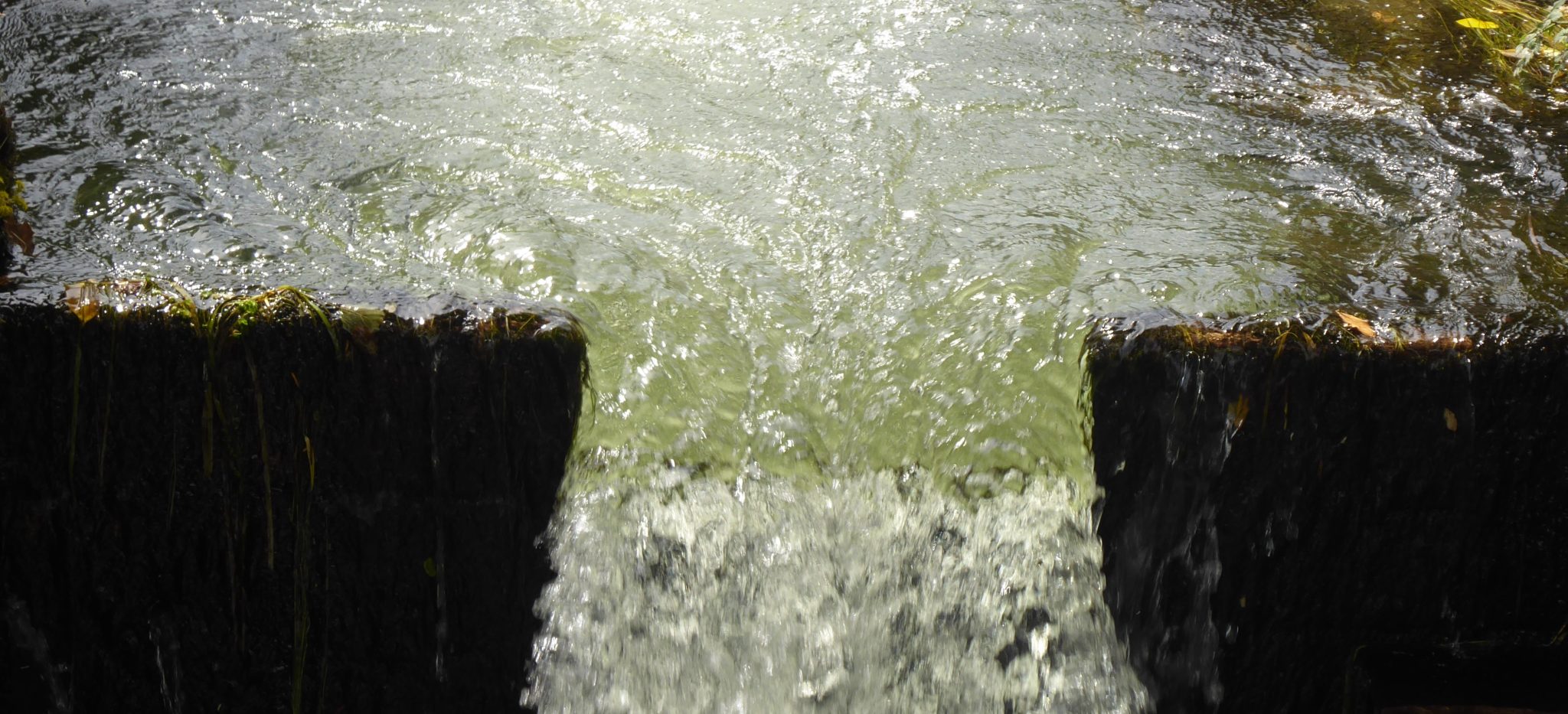 Why is ‘listening’ so difficult? – Luke Clements