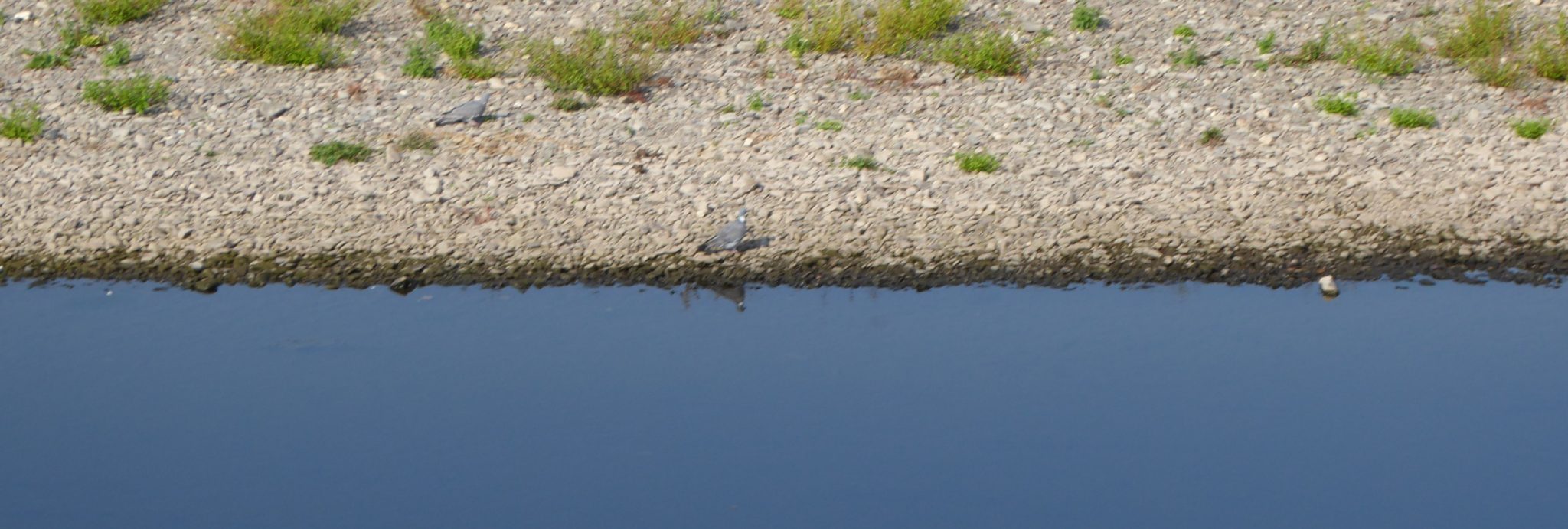 A ‘sitting duck’ for allegations of fabricated or induced illness (FII ...