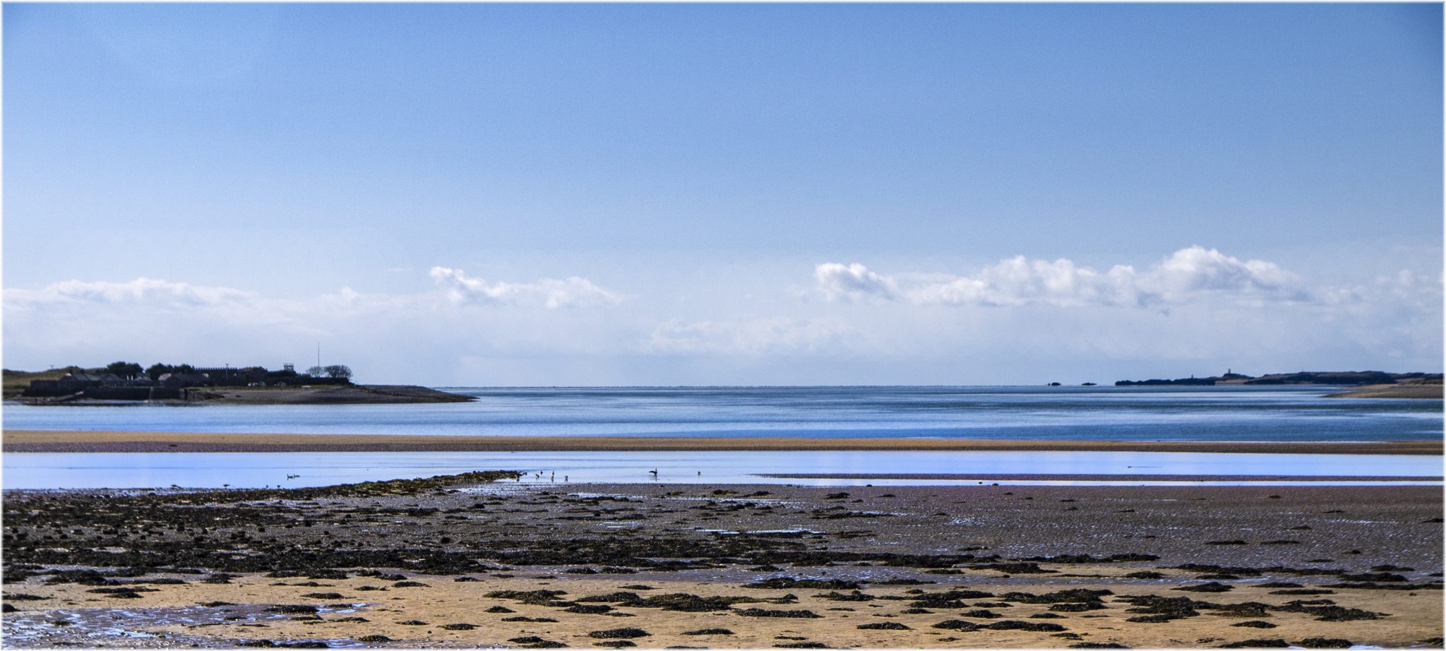 ‘Systems Generated Trauma’ Report 2025 – Luke Clements