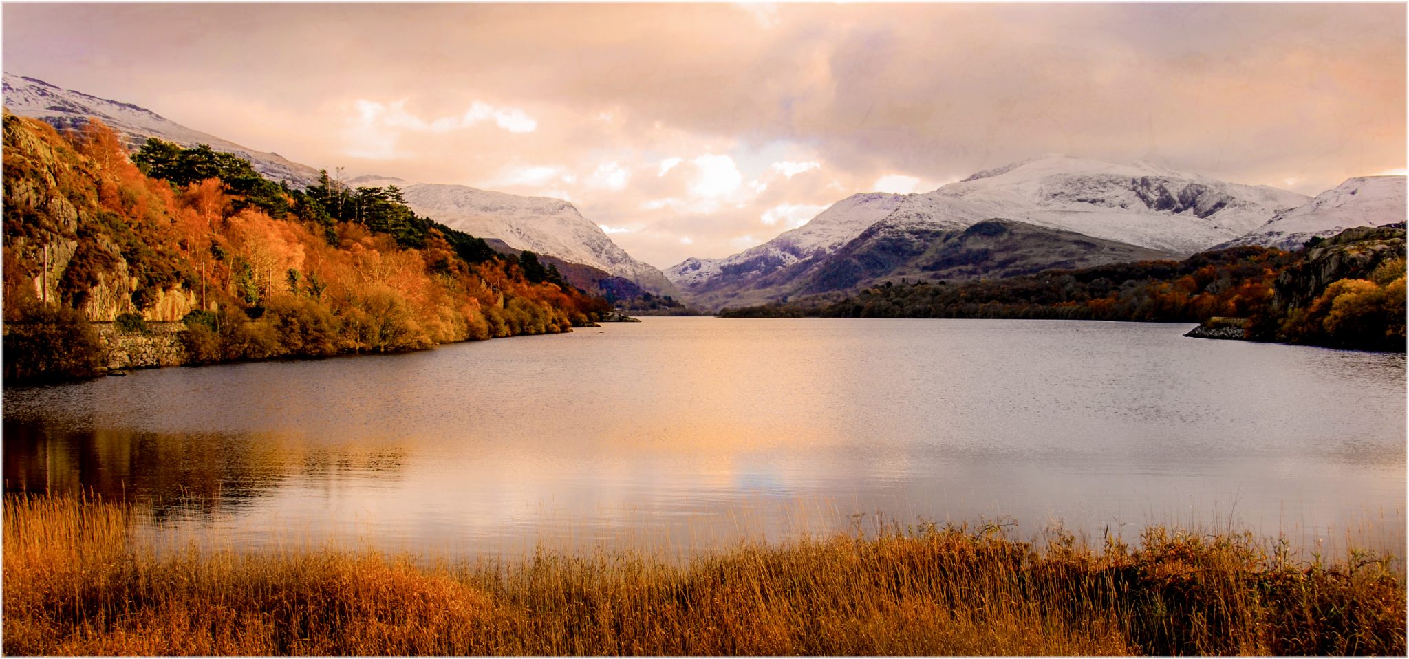 Two major reports highlighting parental blame and Systems Generated ...